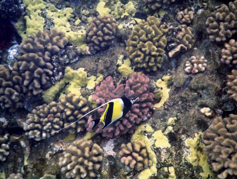 Generated with Arles Image Web Page Creator