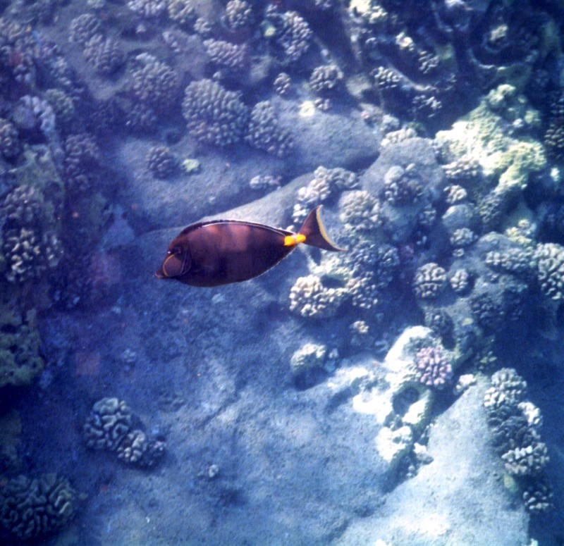 Generated with Arles Image Web Page Creator